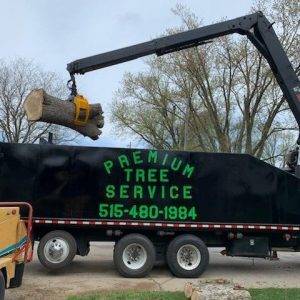Towns We Serve - Premium Tree Service - Des Moines, IA
